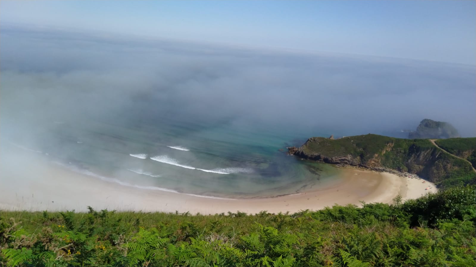 Disolución de la 3D - Universo Gesara